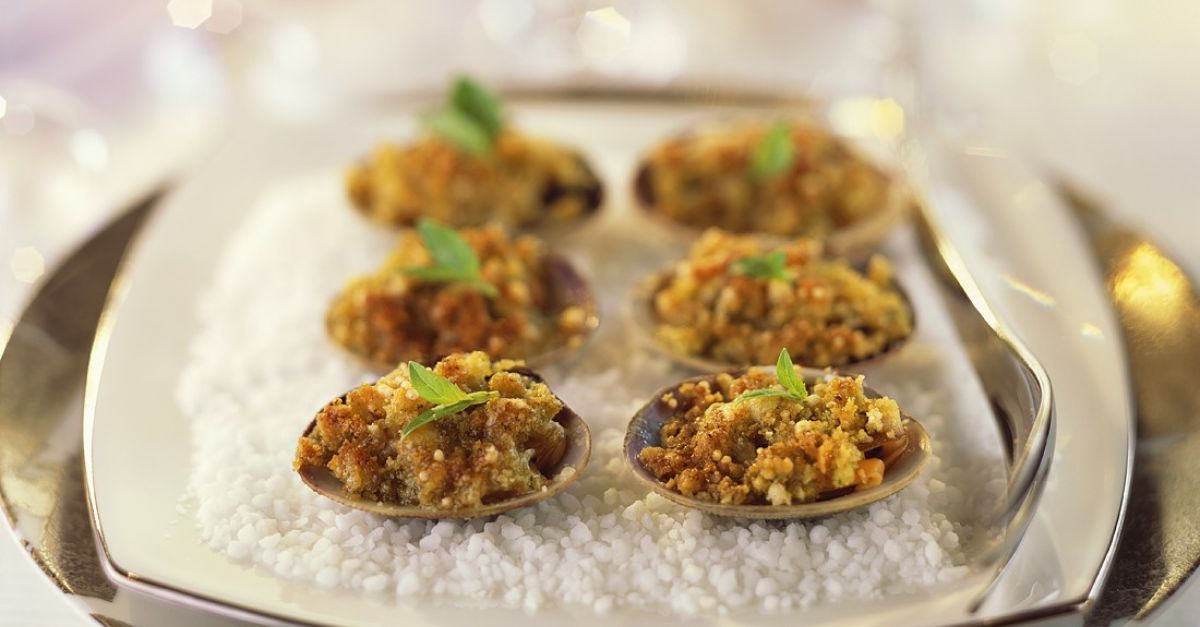 Clams in the half Shell – Hook-Eze Pty Ltd